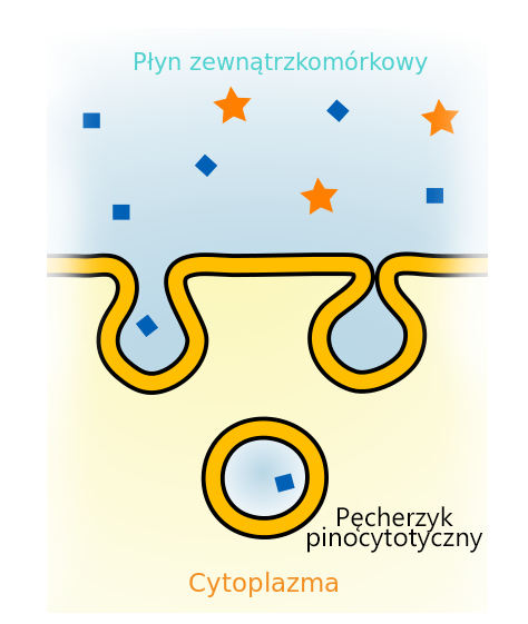 Przeczytaj - Zintegrowana Platforma Edukacyjna