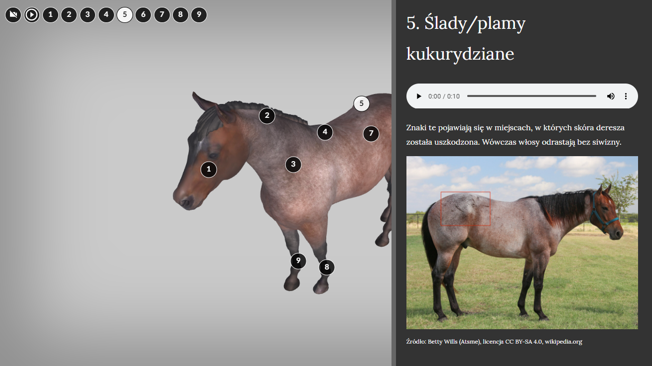 Instrukcja użytkowania - Zintegrowana Platforma Edukacyjna