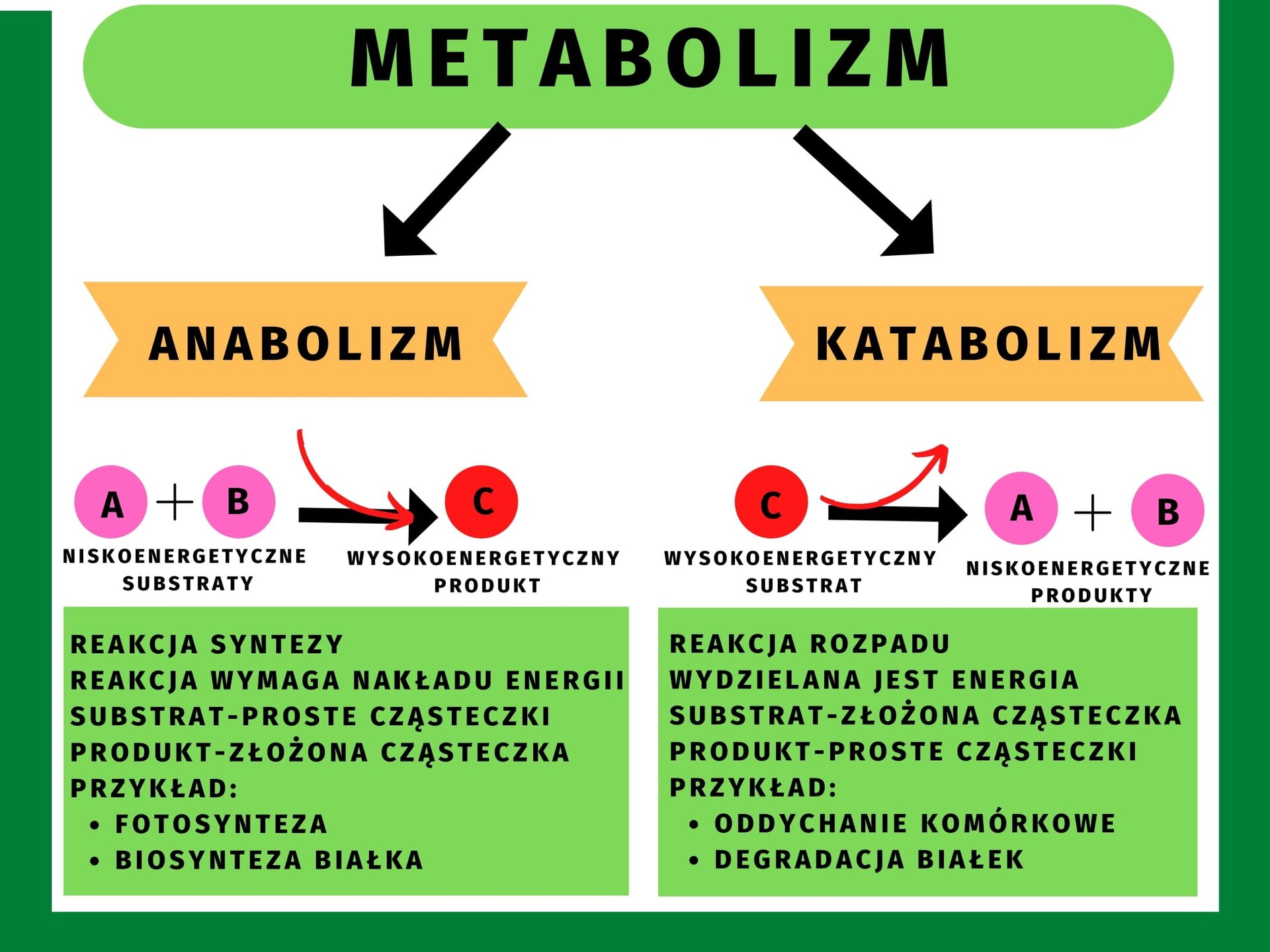 Metabolizm - Zintegrowana Platforma Edukacyjna