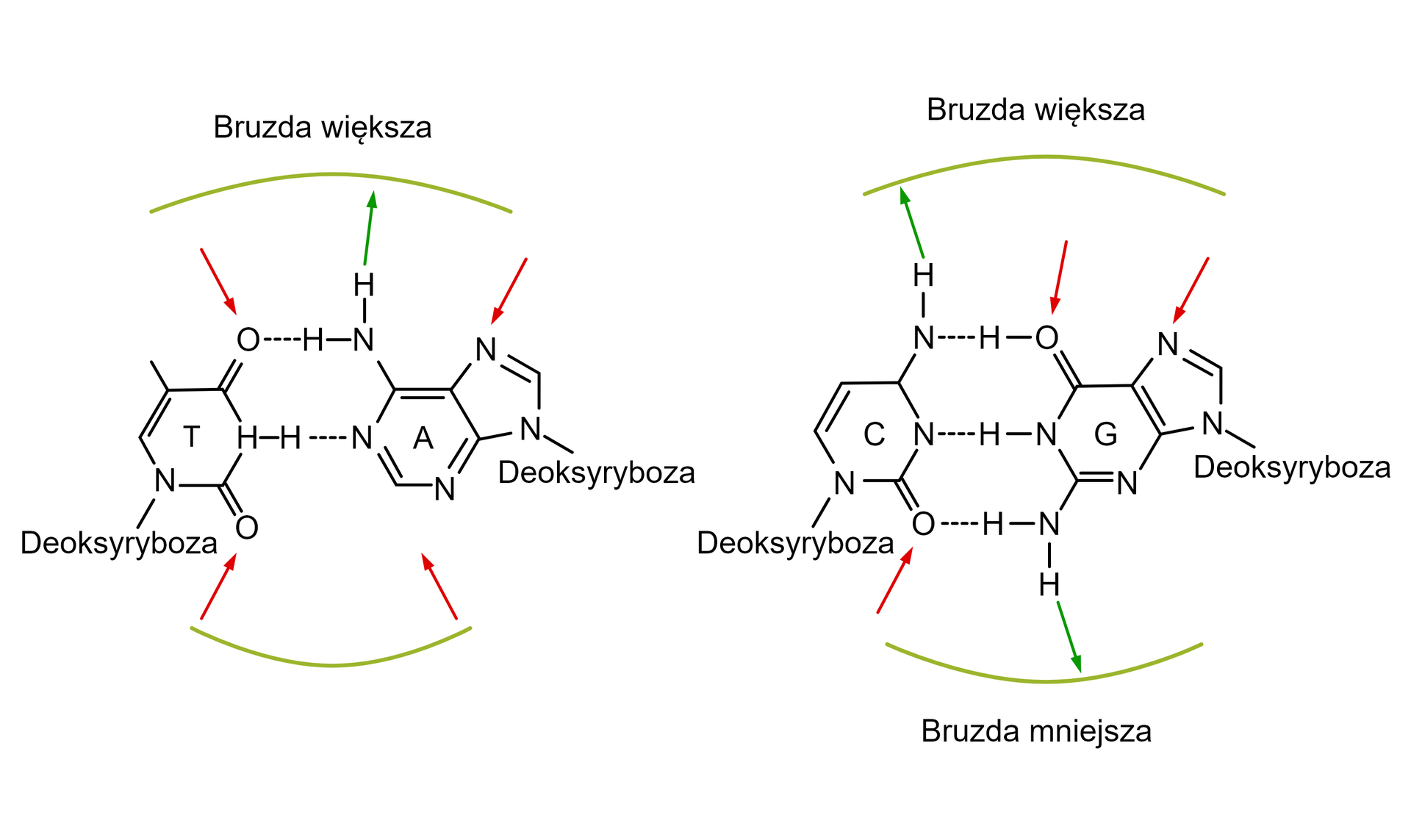 Przeczytaj - Zintegrowana Platforma Edukacyjna