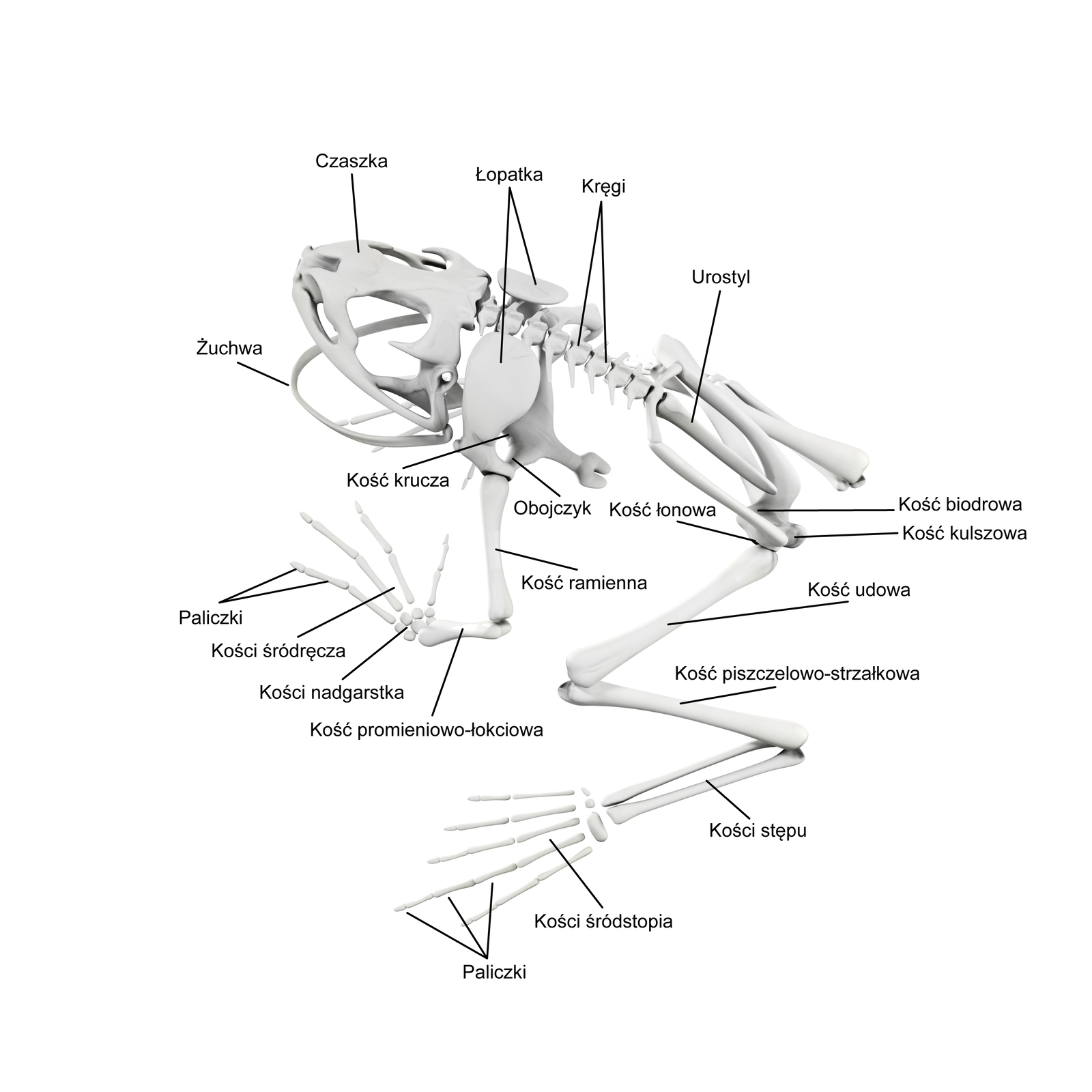 Przeczytaj - Zintegrowana Platforma Edukacyjna